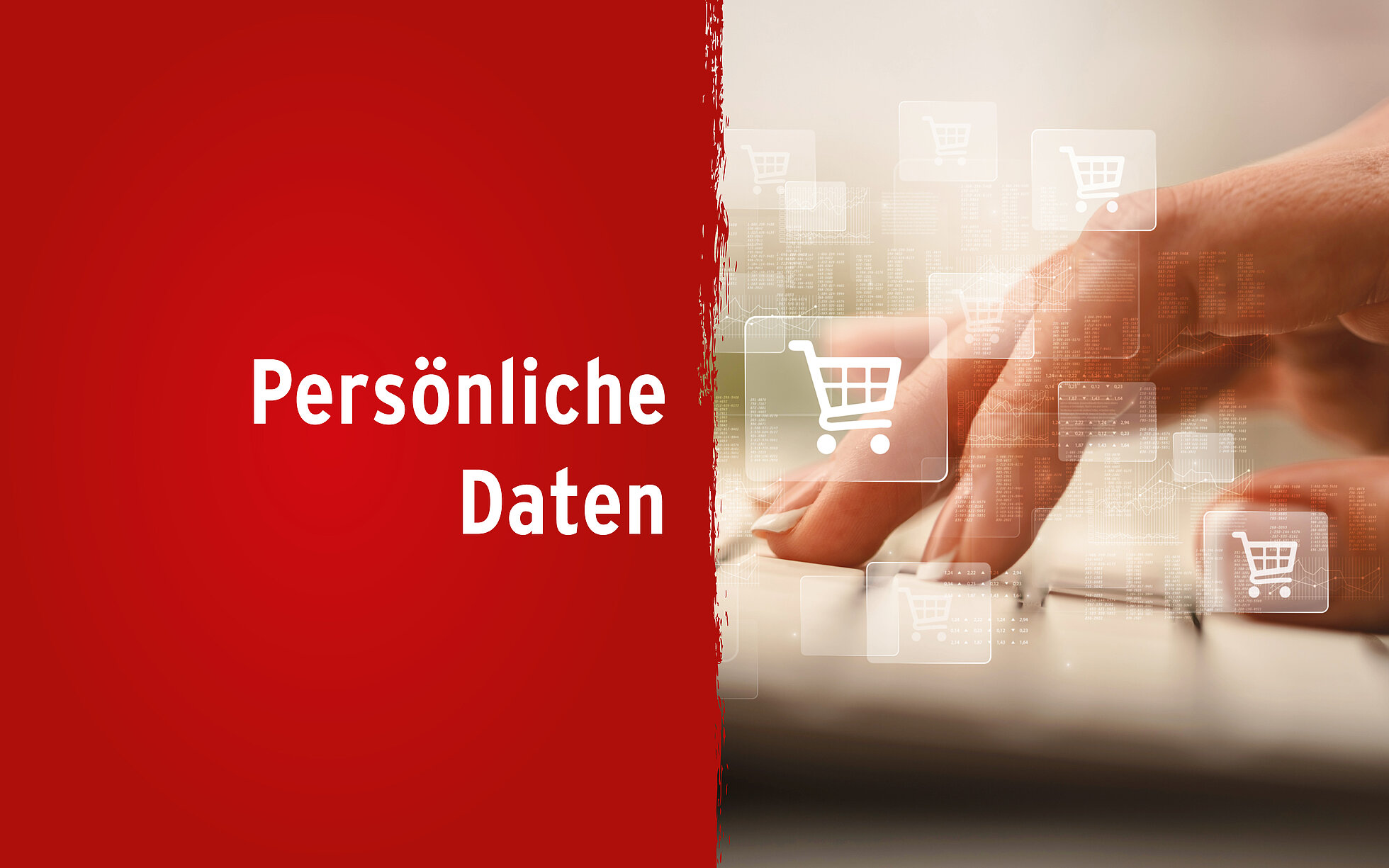 Persönliche Daten - einzA